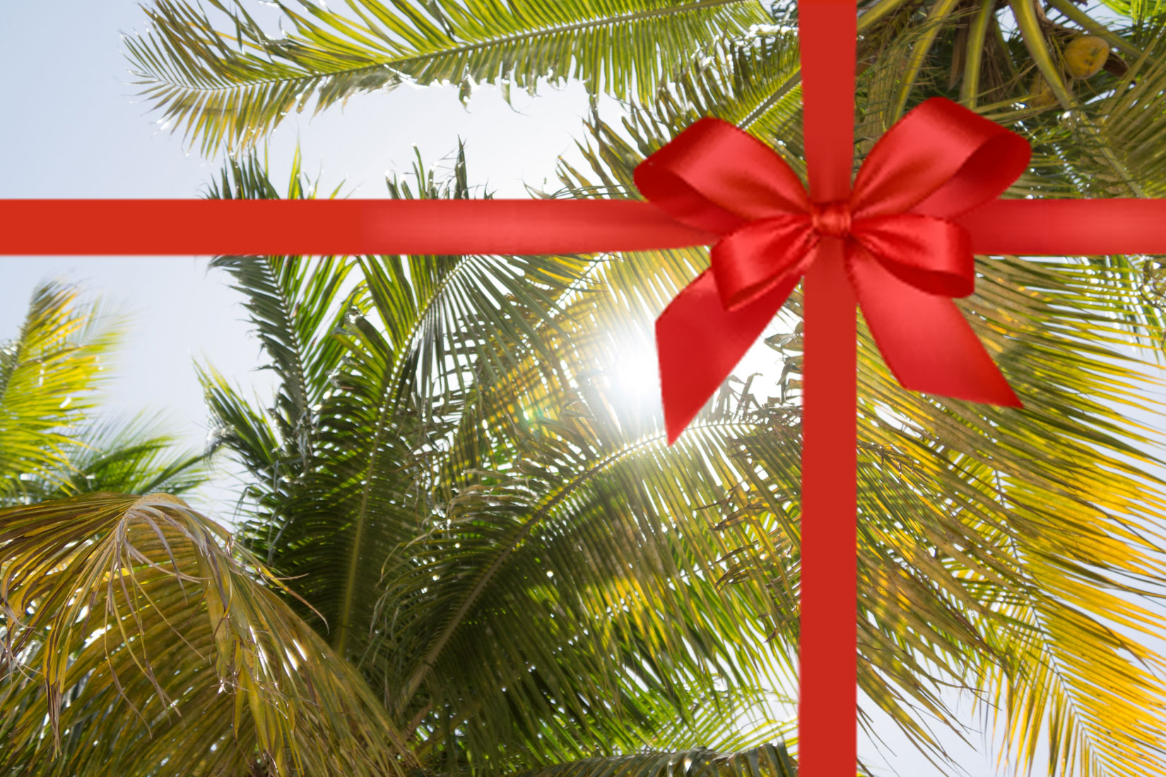 Gift Cards - Give gifts they'll love, Marco Island boat tour gift cards